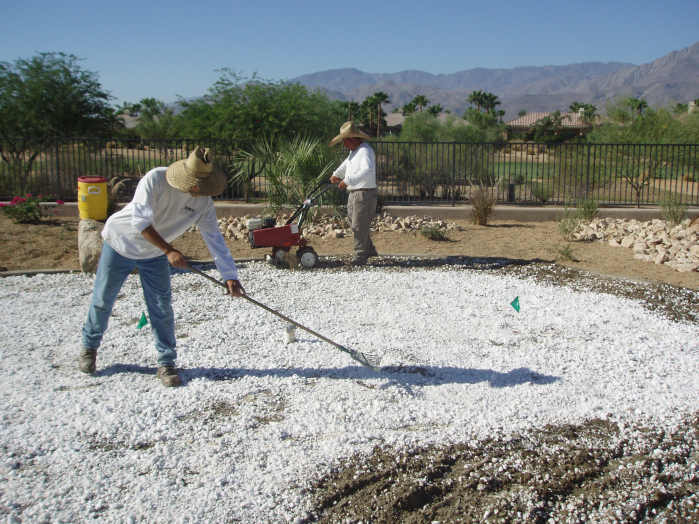 Water Saving Turf Installation | Avagreen Landscape